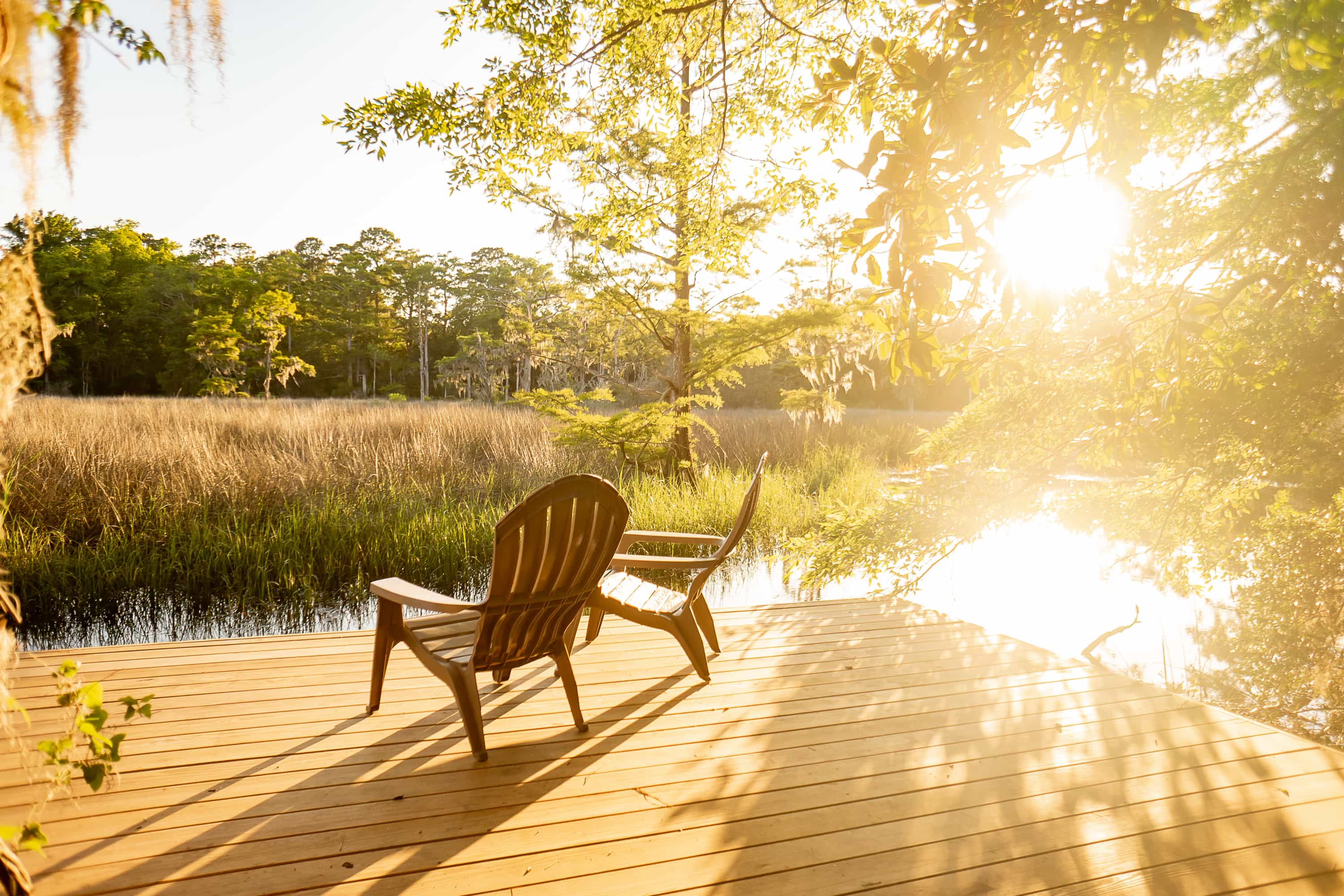 Home | Momentum Recovery